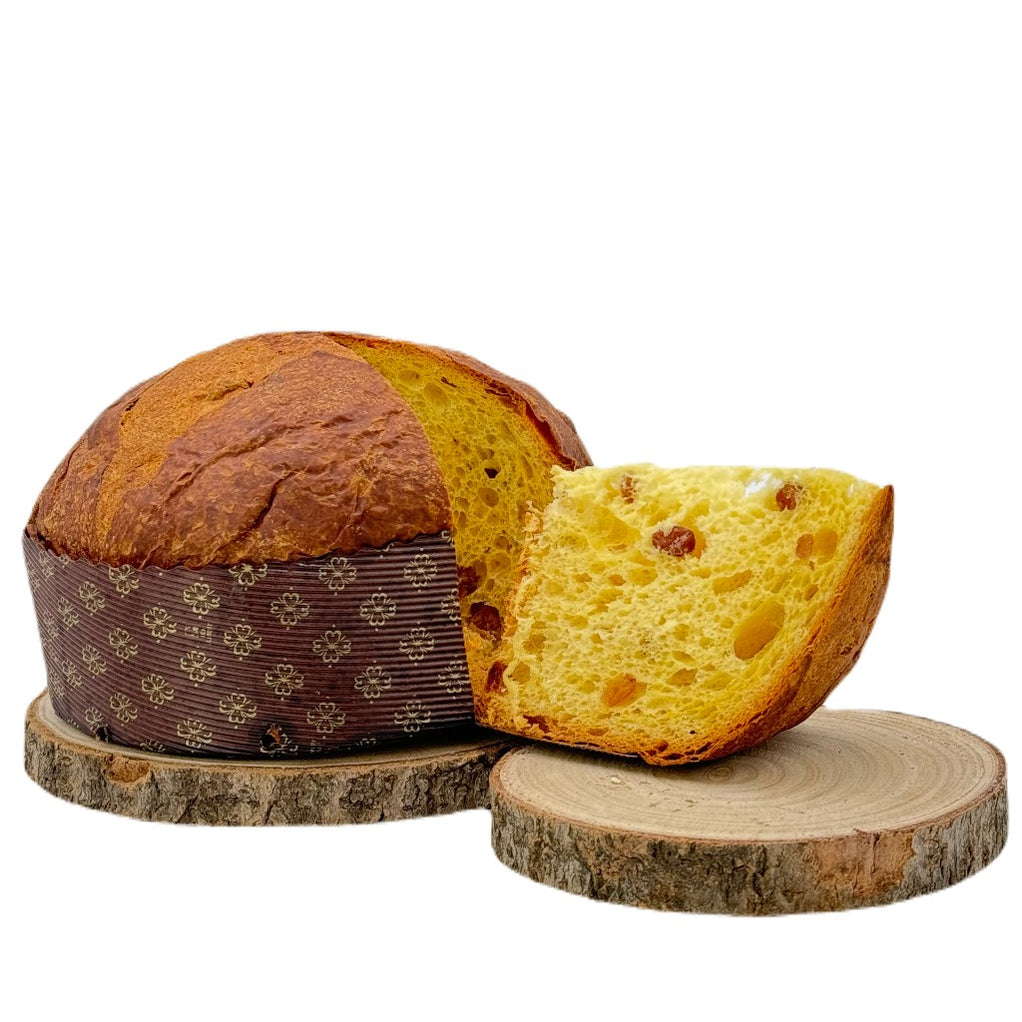 Grappa Panettone without candied fruit | Buy online